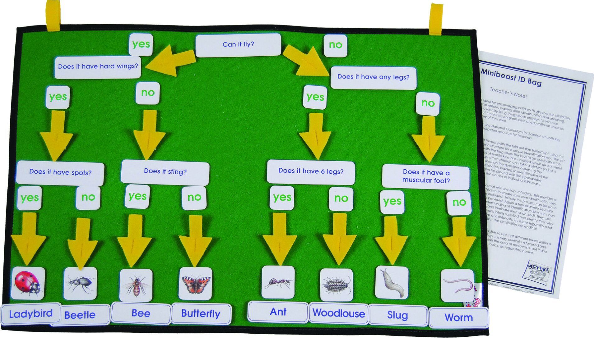 Mini Beasts – Classroom Direct